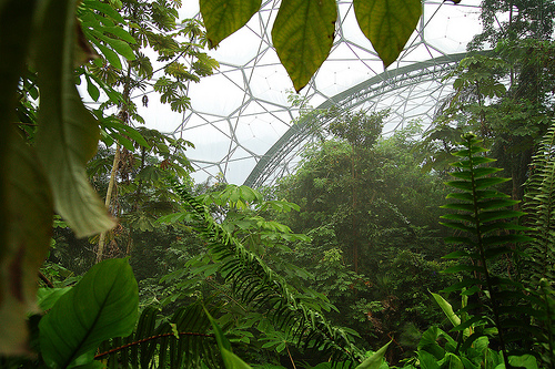 Eden Project - United Kingdom